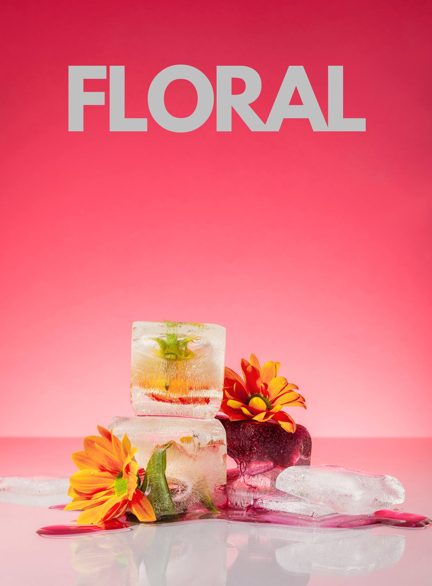 IBR Perfume - Find your fragrance